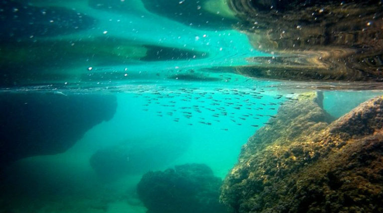 15 Stunning Pictures & Videos from Kfarabida’s Coast | Blog Baladi