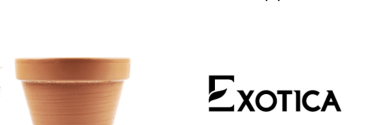 Exotica has a New Logo After 40 Years | Blog Baladi