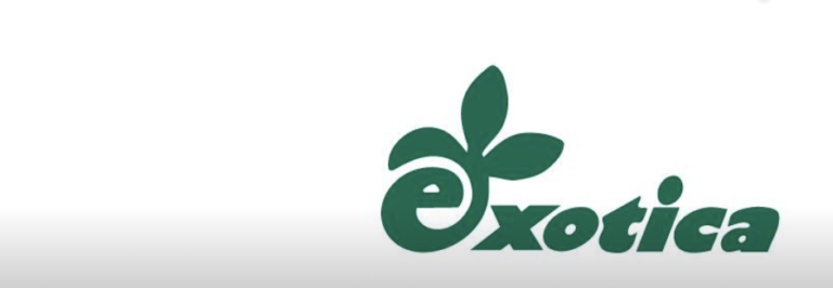 Exotica has a New Logo After 40 Years | Blog Baladi