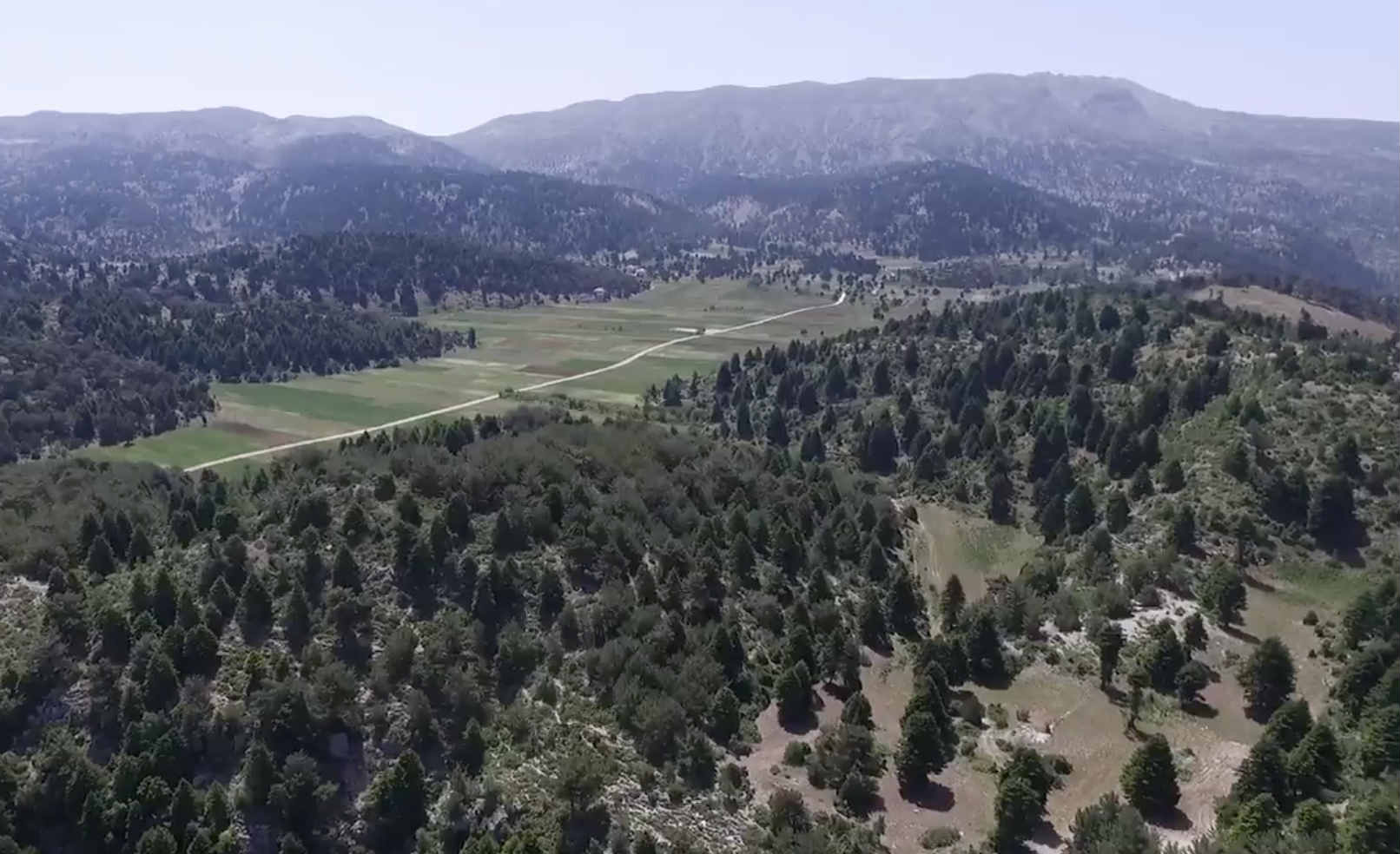 Stunning 7-Minute Video on Akkar: Lebanon’s Green Treasure | Blog Baladi
