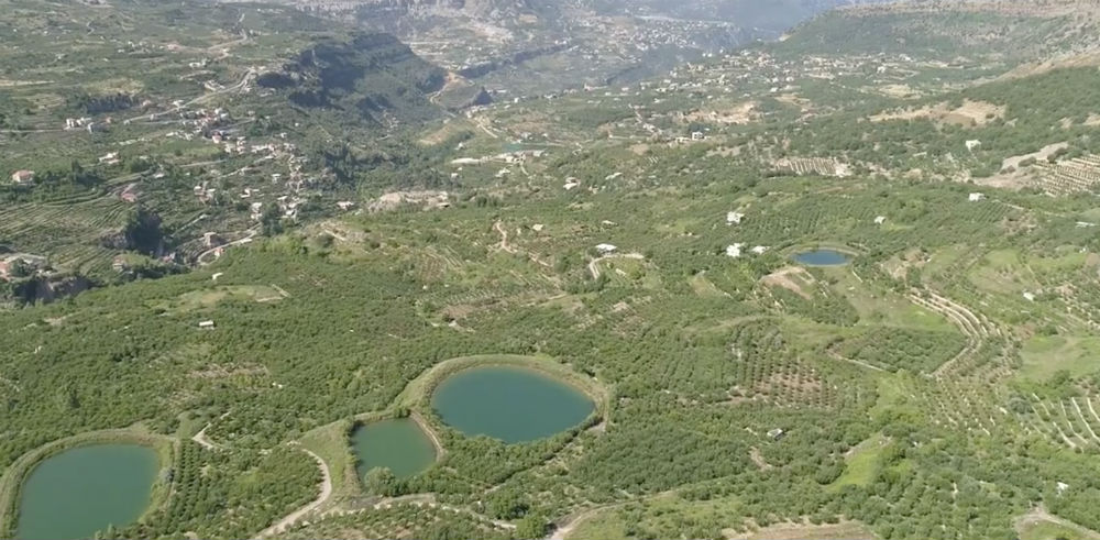 17,000 Seedlings Will Turn Aaqoura’s Barren land into a Forest | Blog ...