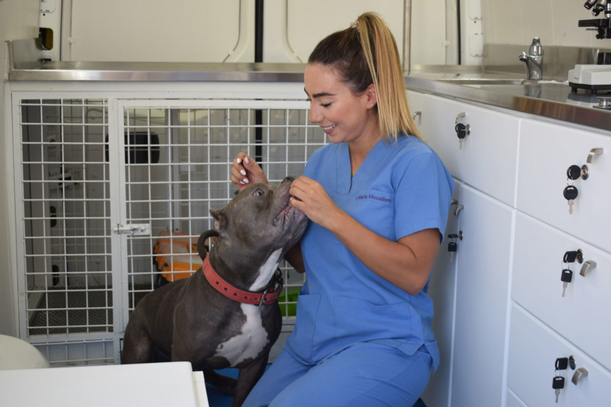Vetlivery – A Mobile Veterinary Clinic in Lebanon | Blog Baladi